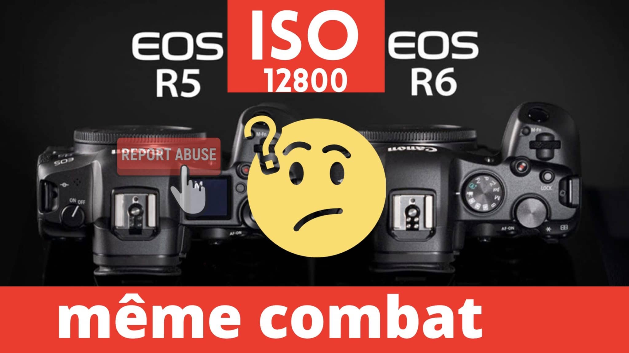 Comparatif Canon R5 et Canon R6 : Montée en ISO
