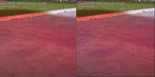 Comparatif Canon CRaw vs RAW : verrez-vous les différences