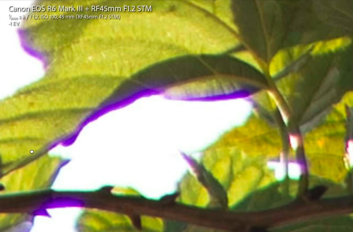 Test Canon RF 45mm f1.2 STM : quelle idée ! - Le blog photo